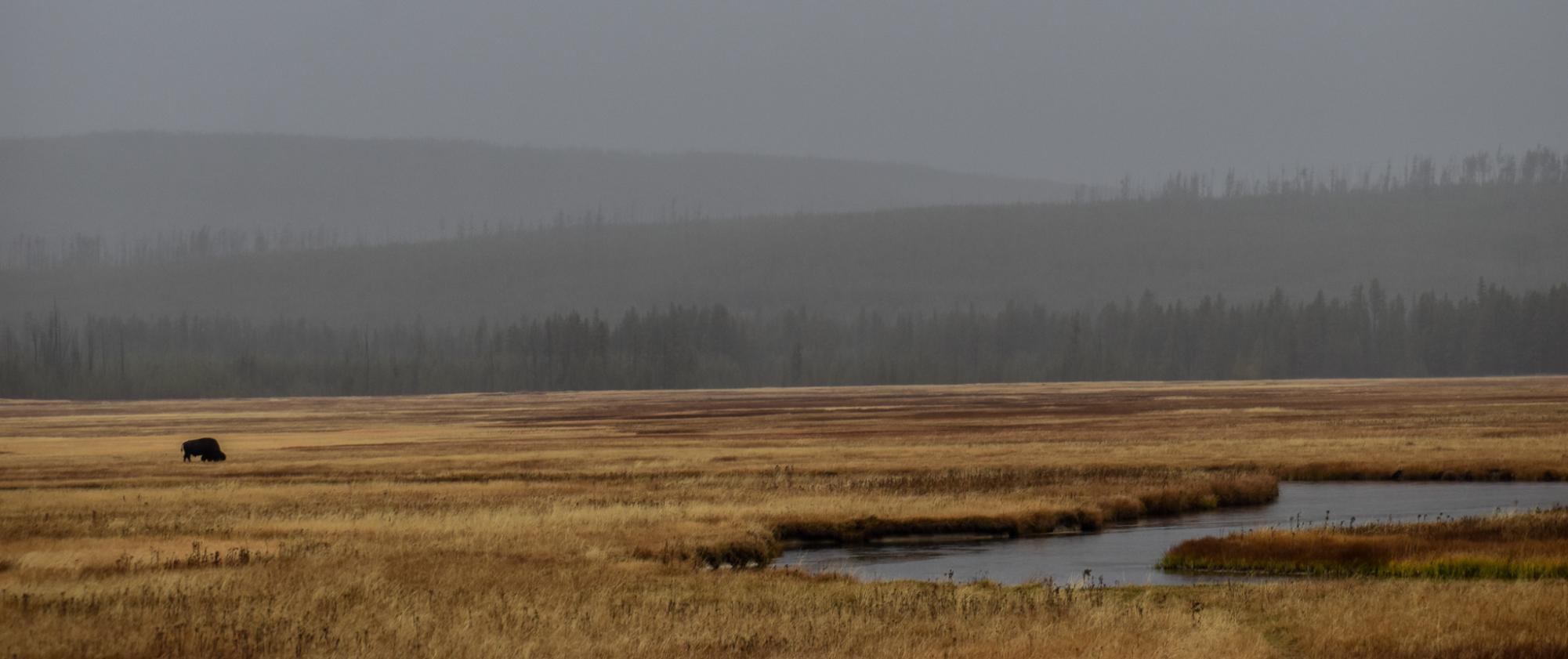 Nine Hours in Yellowstone - Wasatch Magazine
